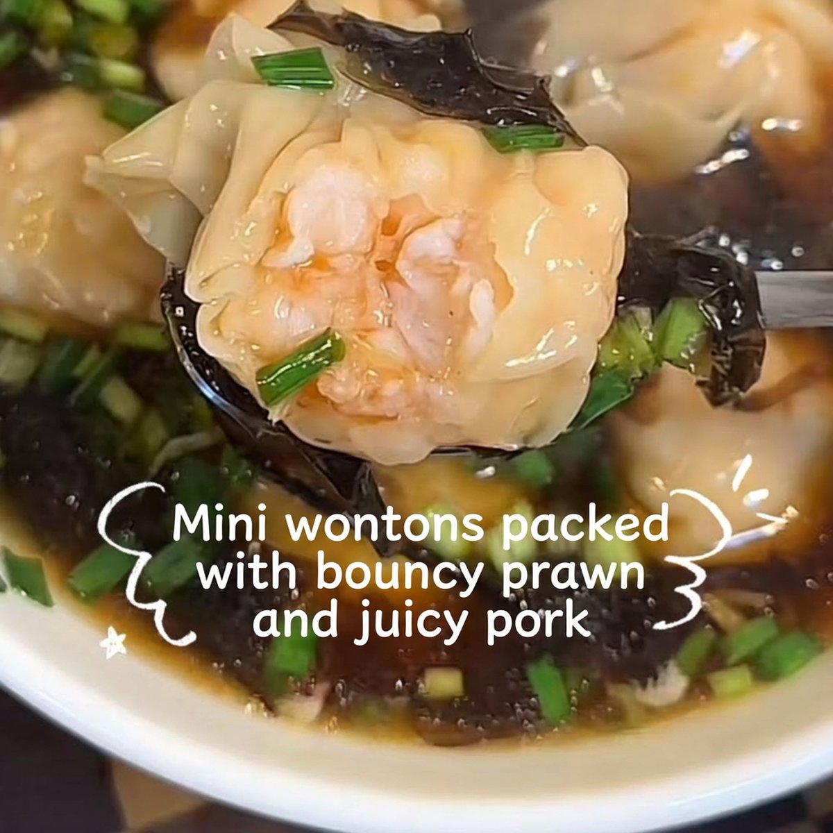 Frozen Shrimp & Pork Mini Wontons 180g - Ready-to-Boil Soup Wontons ...